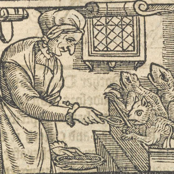 Elizabethan Hunting Queen Elizabeth's Hunting Lodge In Epping Forest