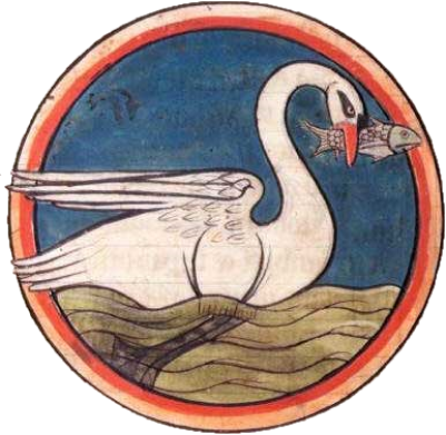 The Ownership of Swans in English History: Does the Queen Own all the ...