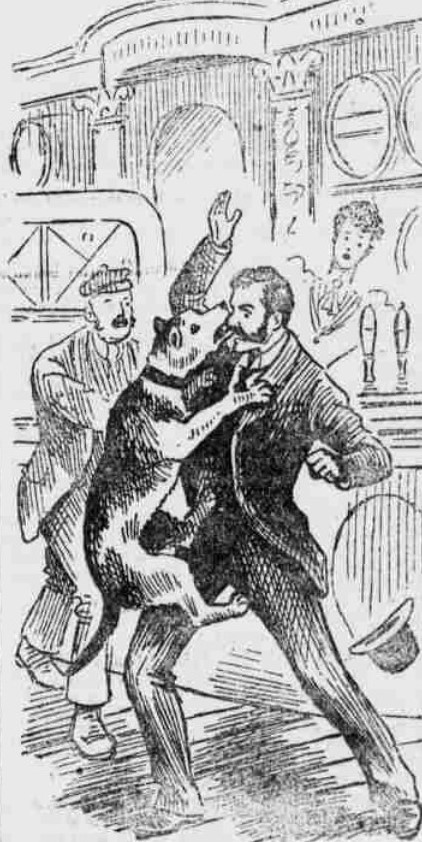 Victorian Crime News: Evidence Which Cannot Err or Deceive? – Legal ...