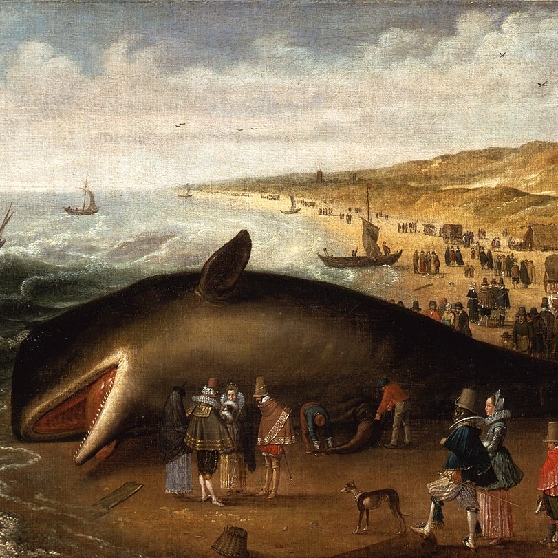 Royal Fish and Early Modern Tales of Whales – Legal History Miscellany