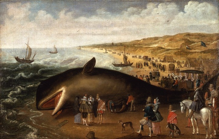 Royal Fish and Early Modern Tales of Whales – Legal History Miscellany