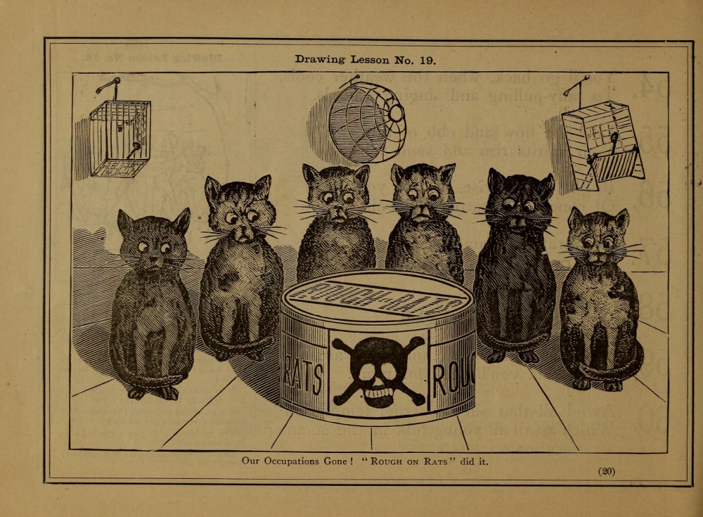 Poisoning Crimes and the ‘Mushroom Murderer’: Patterns and Precedents ...